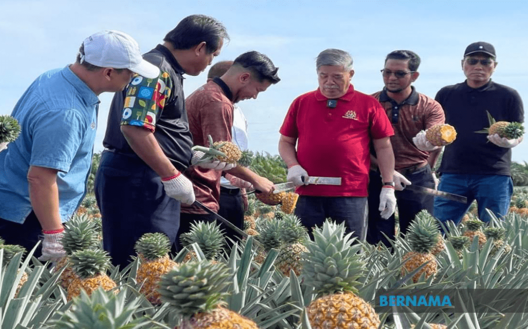 News - M-FICORD Official Website